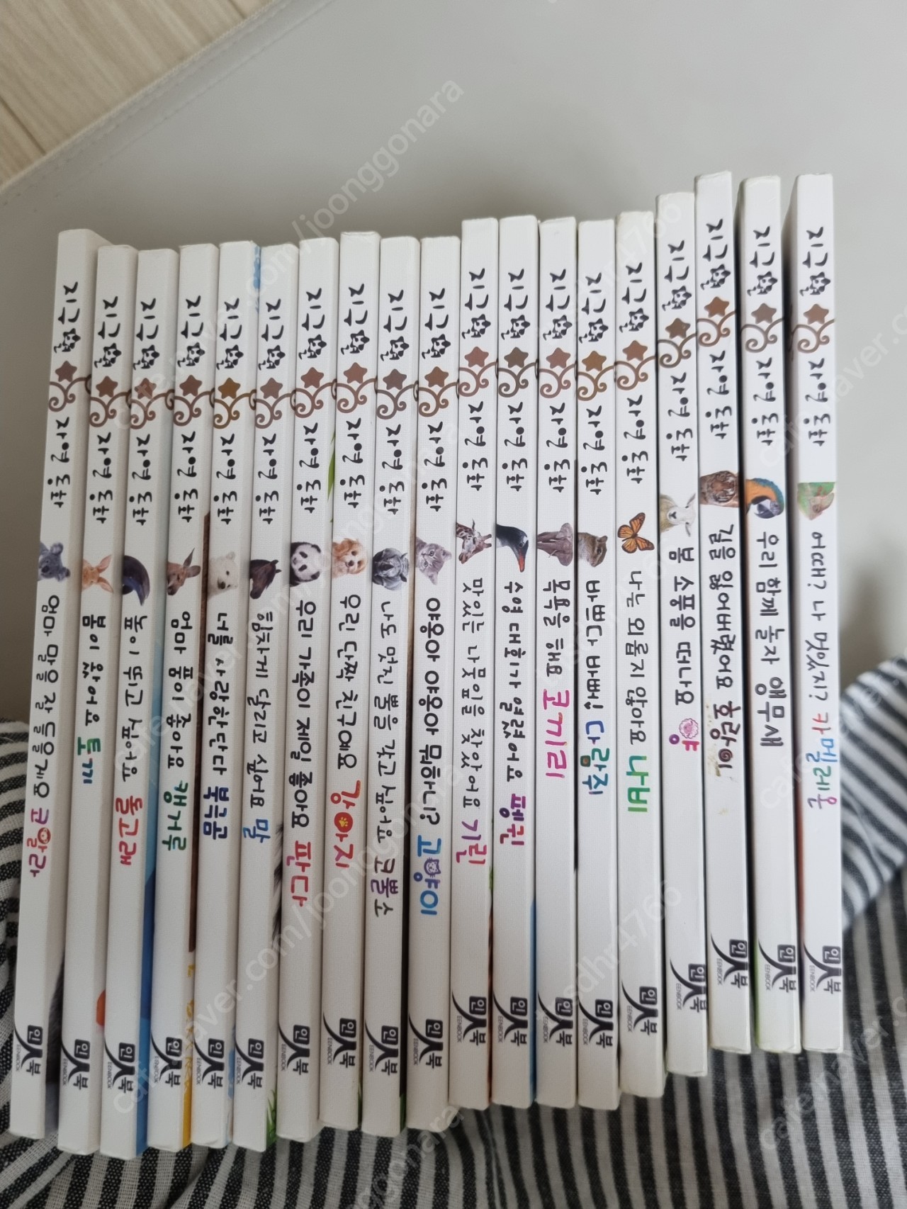 블루래빗 인성발달그림책 지구별자연동화 기타 유아동용품 중고나라